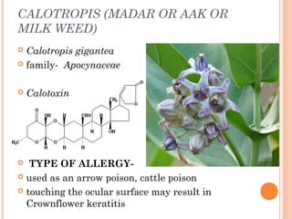 Plant allergens and herbal antiallergic drugs | PPT