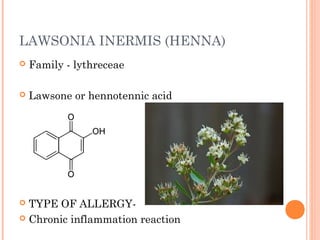 Plant allergens and herbal antiallergic drugs | PPT