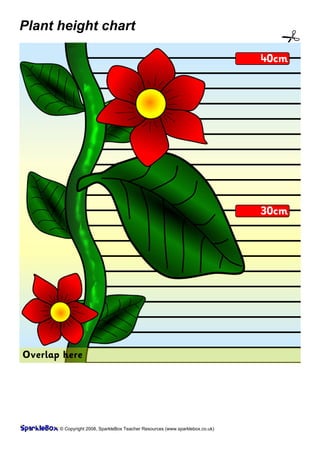 Planta masuratoare | PDF