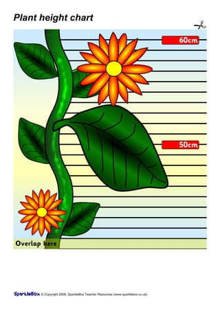 Planta masuratoare | PDF