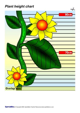 Planta masuratoare | PDF