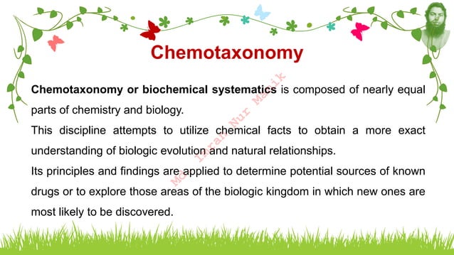 Plant Analysis (Pharmacognosy) MANIK | PPT