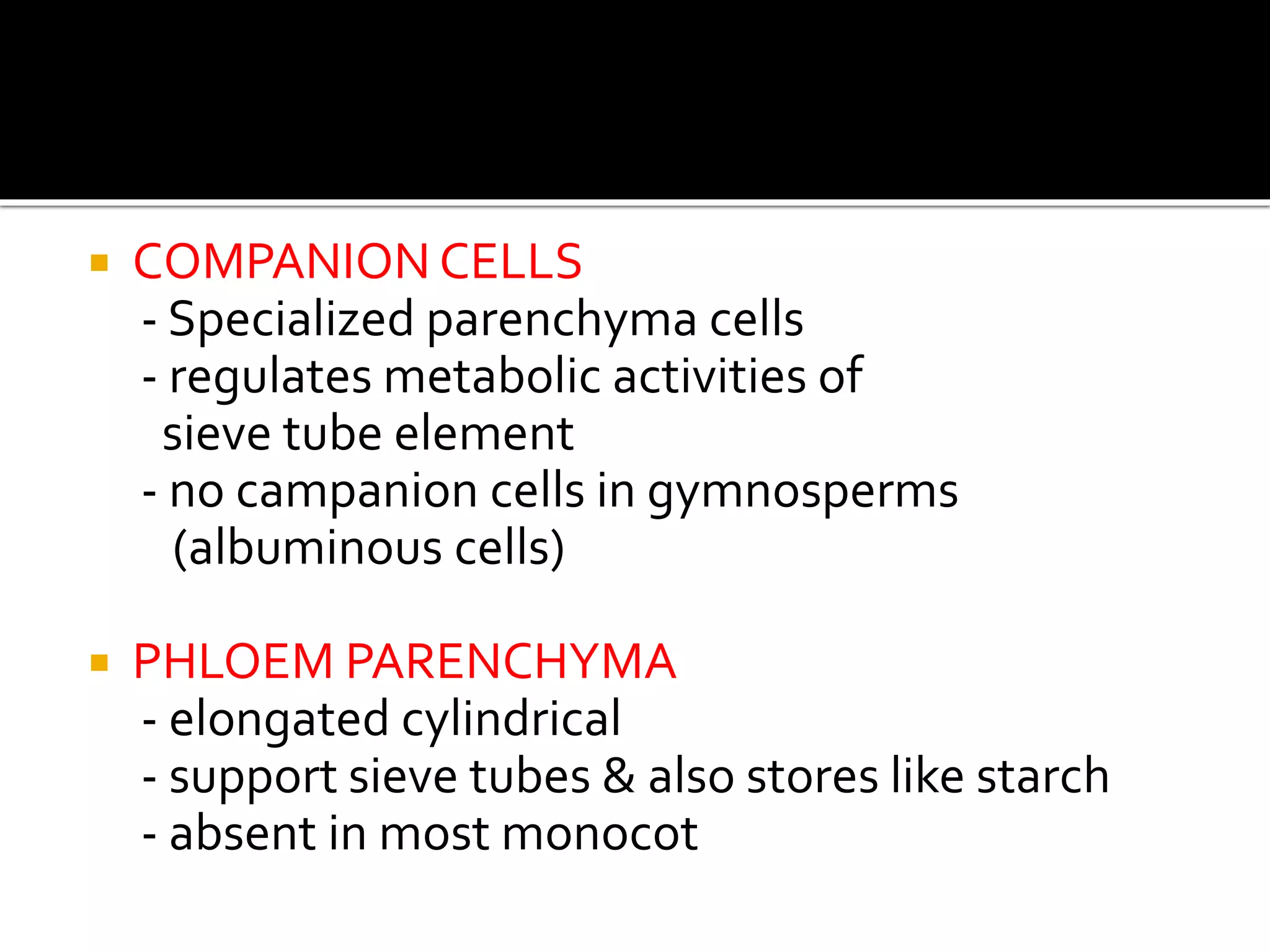 Plant anatomy | PPTX