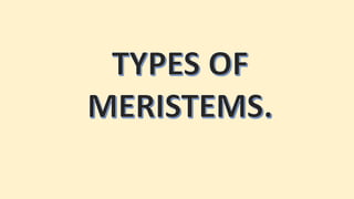 types of meristems. | PPTX