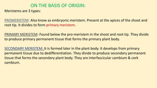 types of meristems. | PPTX
