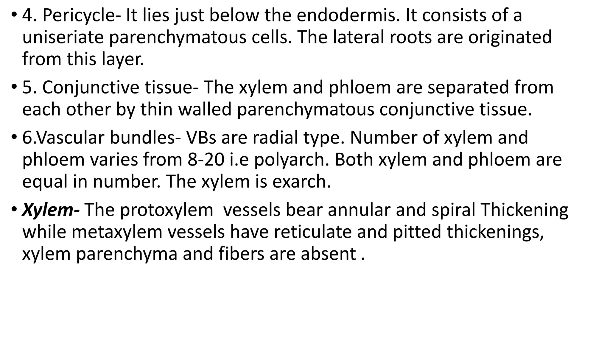 Plant anatomy | PPTX