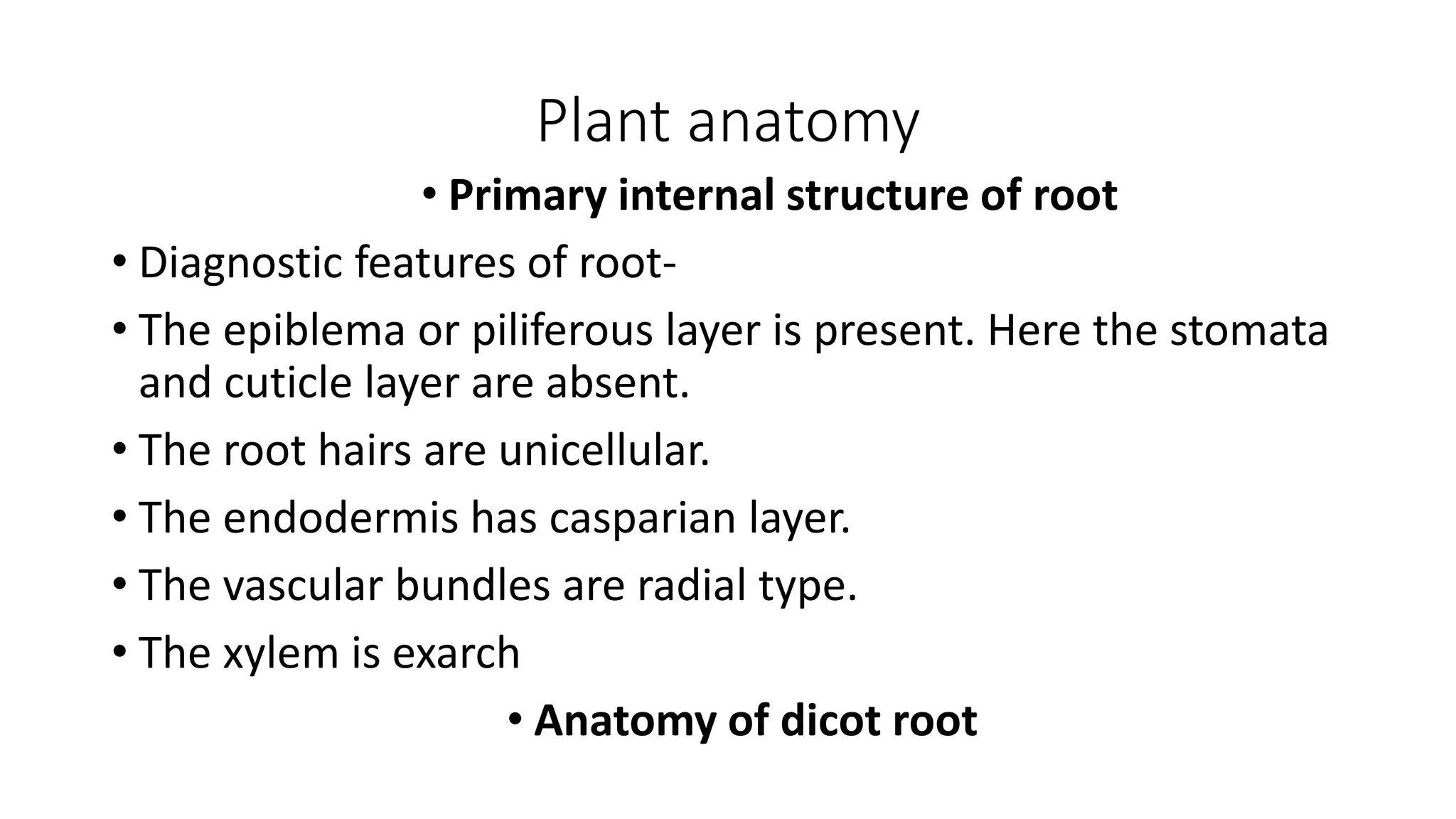 Plant anatomy | PPTX