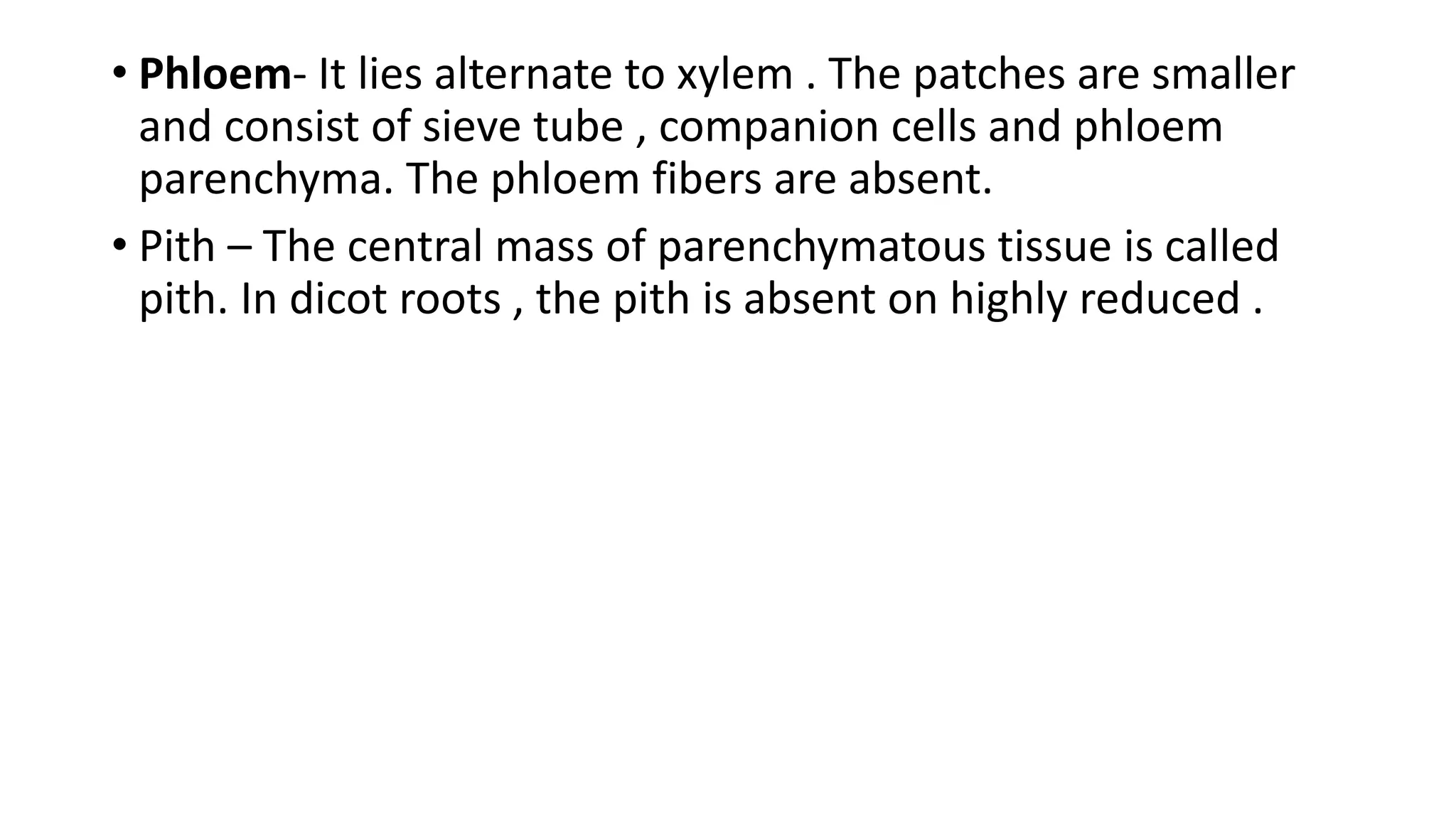 Plant anatomy | PPTX