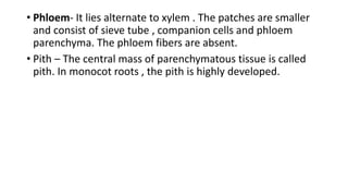 Plant anatomy | PPTX
