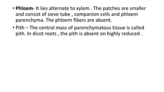 Plant anatomy | PPTX