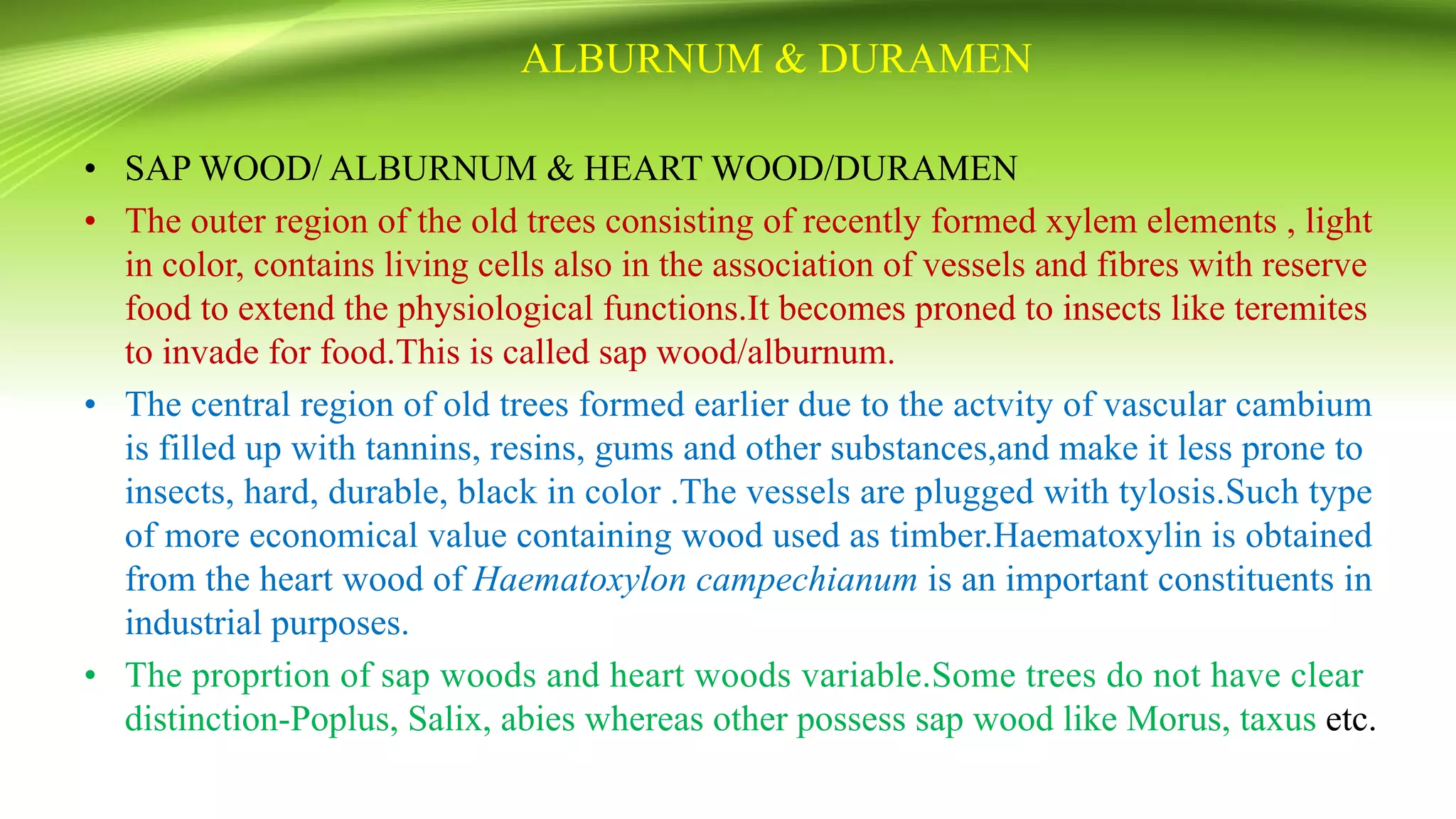 Secondary Growth in Dicot Stem & Root | PDF