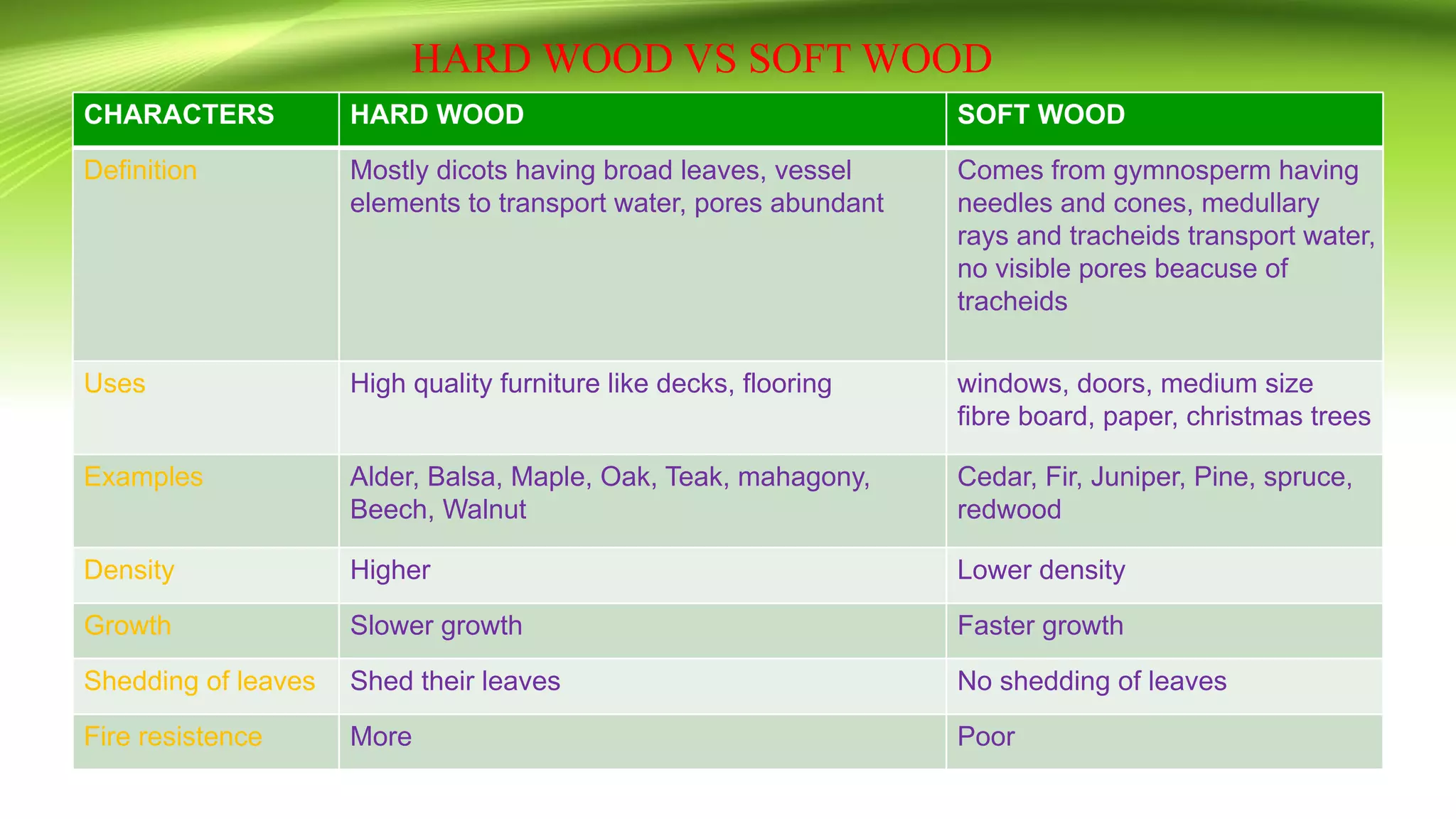 Secondary Growth in Dicot Stem & Root | PDF