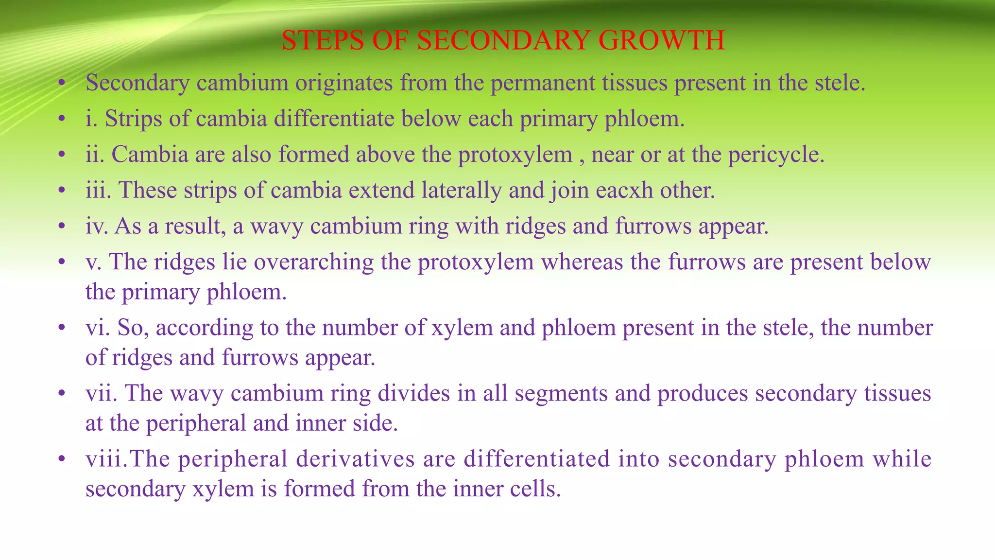 Secondary Growth in Dicot Stem & Root | PDF