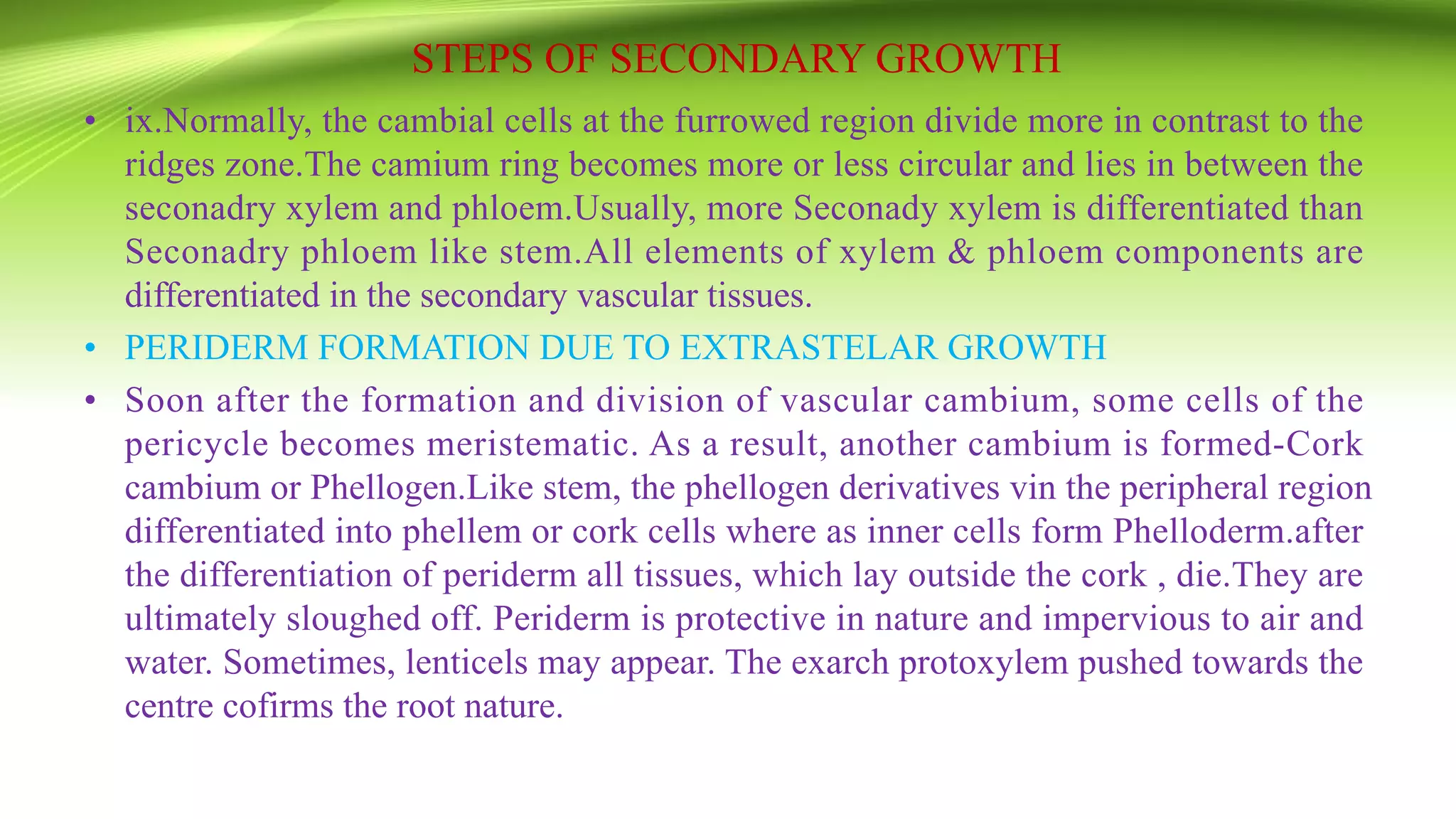 Secondary Growth in Dicot Stem & Root | PDF