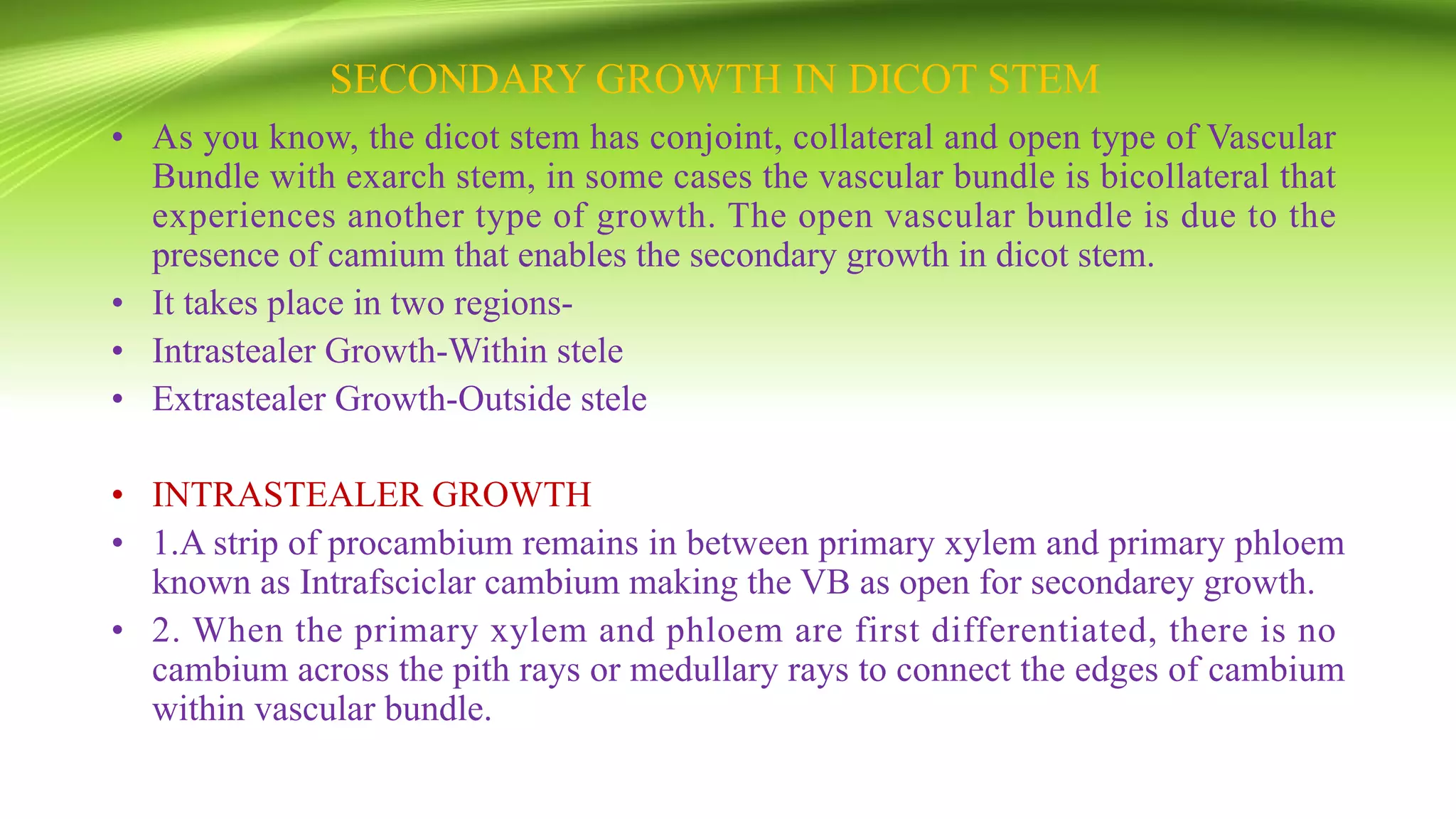 Secondary Growth in Dicot Stem & Root | PDF