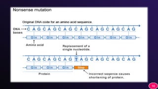 Plant Anatomy mutation types effects changing.pptx