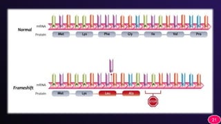 Plant Anatomy mutation types effects changing.pptx