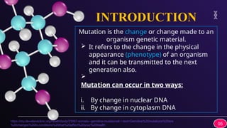 Plant Anatomy mutation types effects changing.pptx