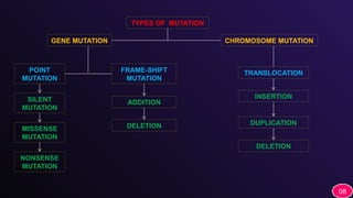 Plant Anatomy mutation types effects changing.pptx