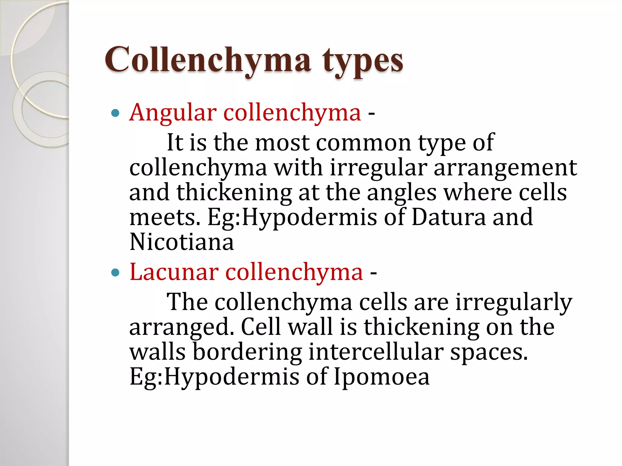 Plant anatomy 1 | PPTX
