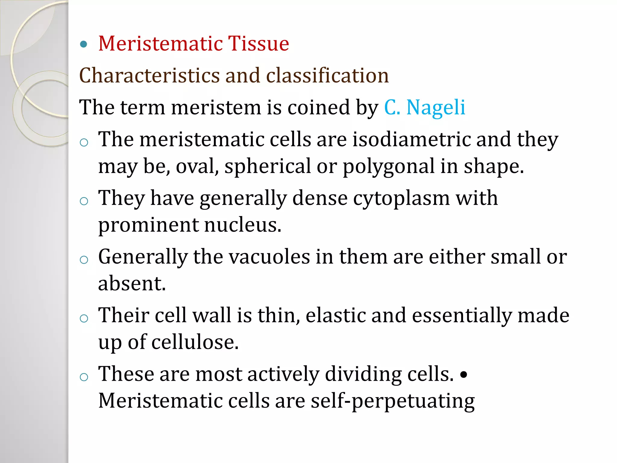 Plant anatomy 1 | PPTX