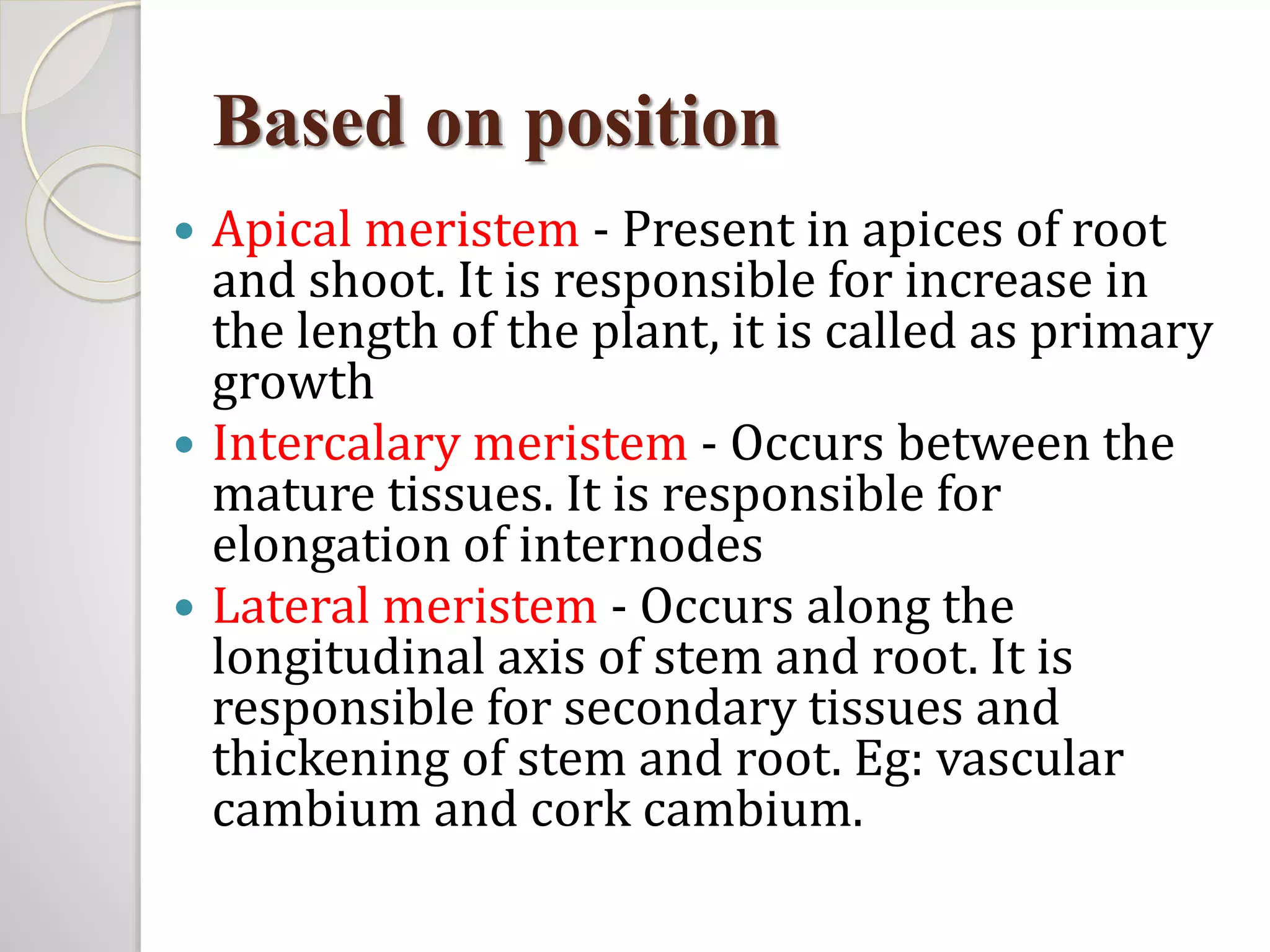 Plant anatomy 1 | PPTX | Gardening | Home & Garden