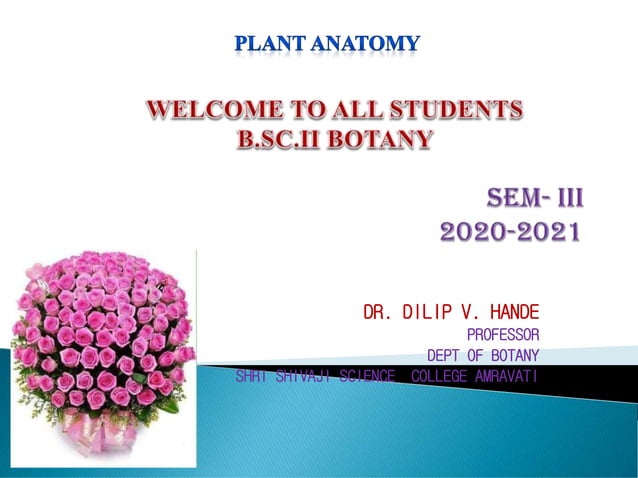 Plant anatomy-1 | PPT