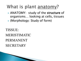 Plant anatomy-1 | PPT