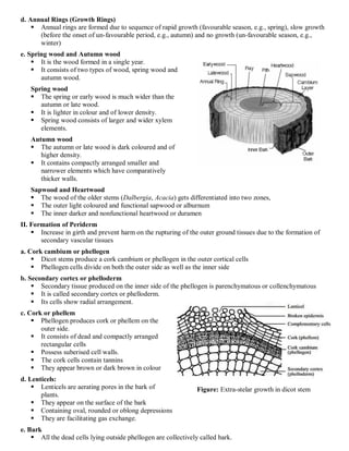 Plant Anatomy and Microtechniques | PDF