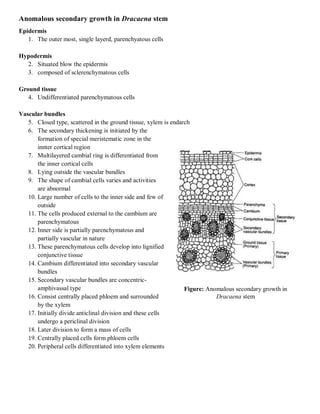 Plant Anatomy and Microtechniques | PDF