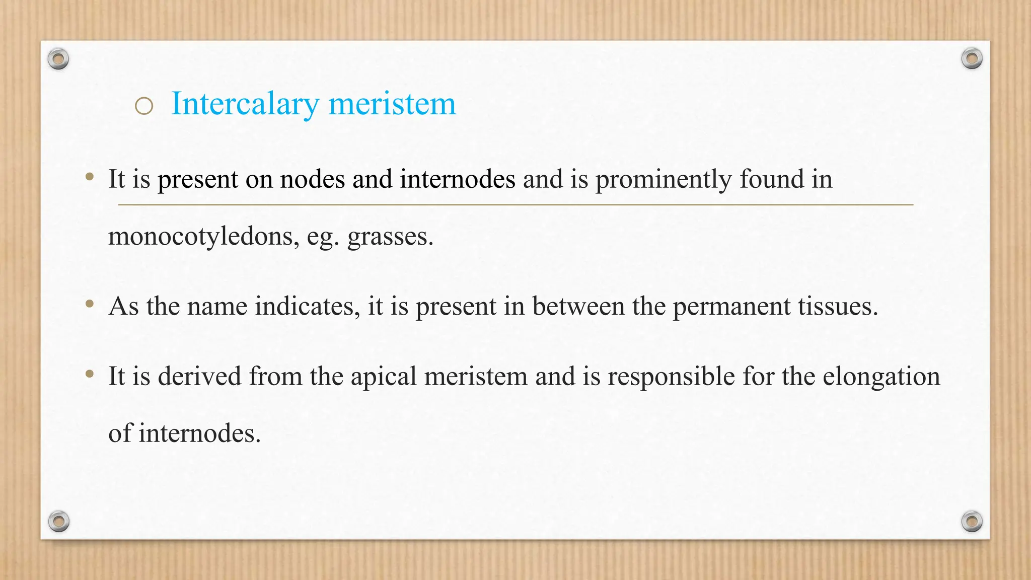 Plant anatomy and physiology.pptx