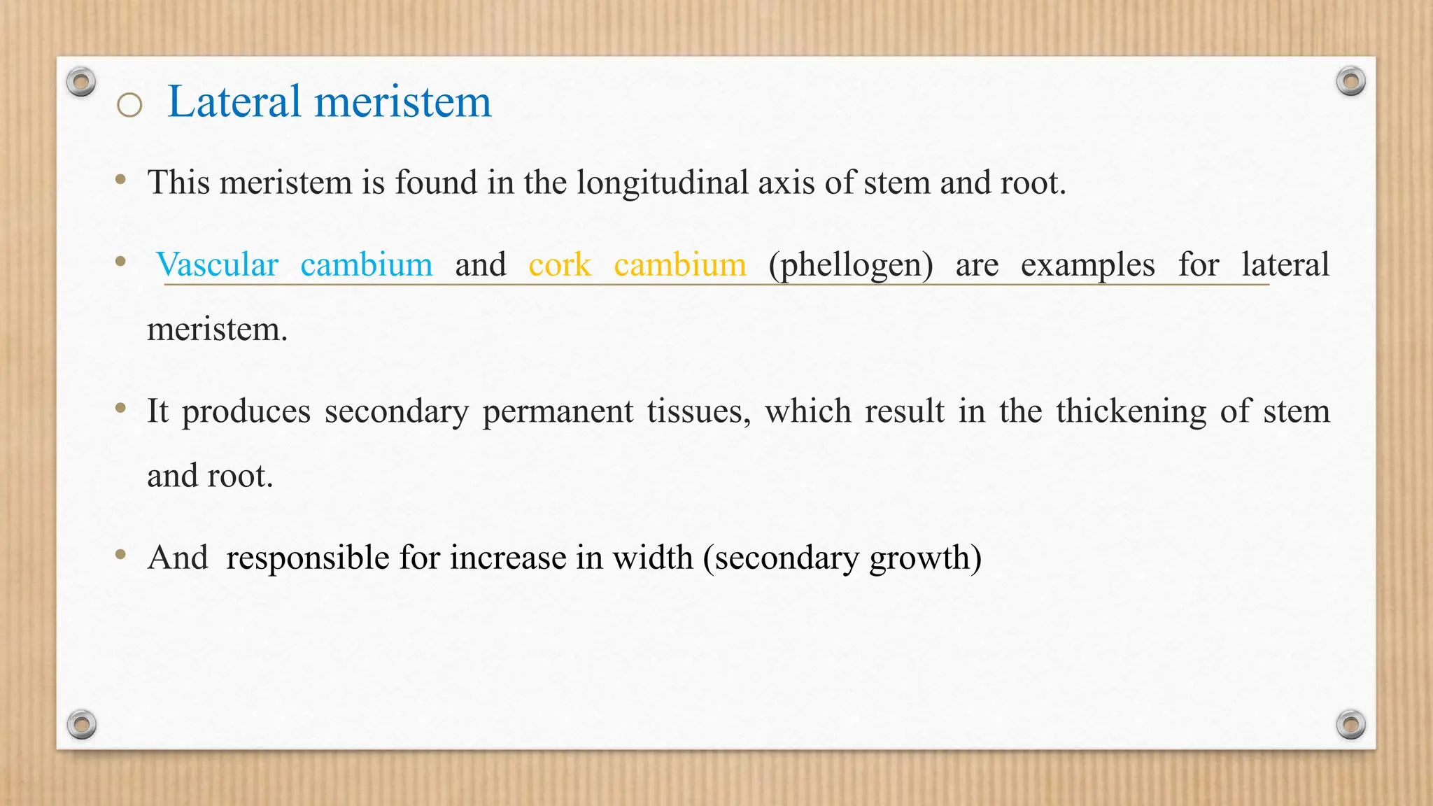 Plant anatomy and physiology.pptx | Gardening | Home & Garden