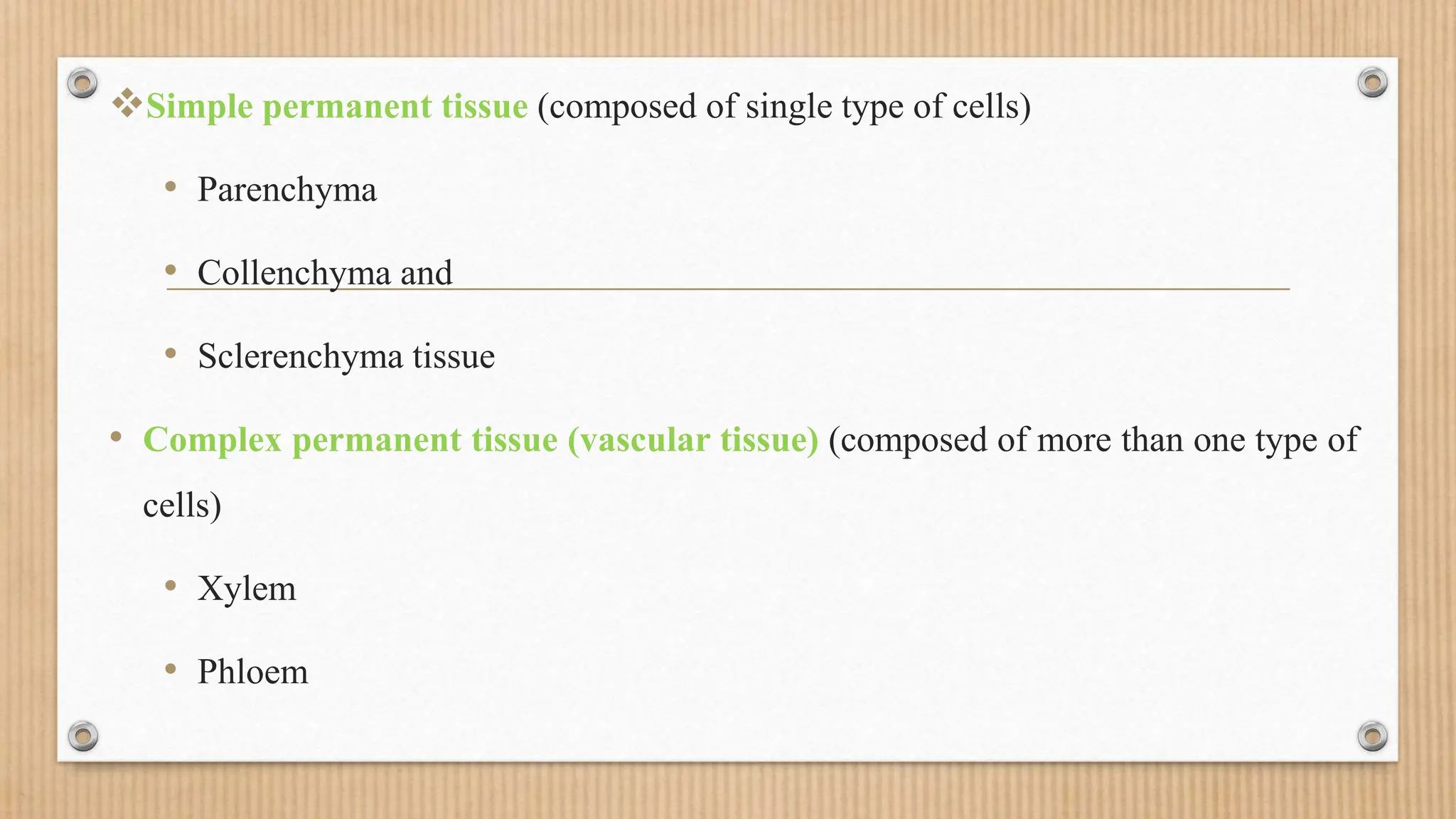 Plant anatomy and physiology.pptx | Gardening | Home & Garden