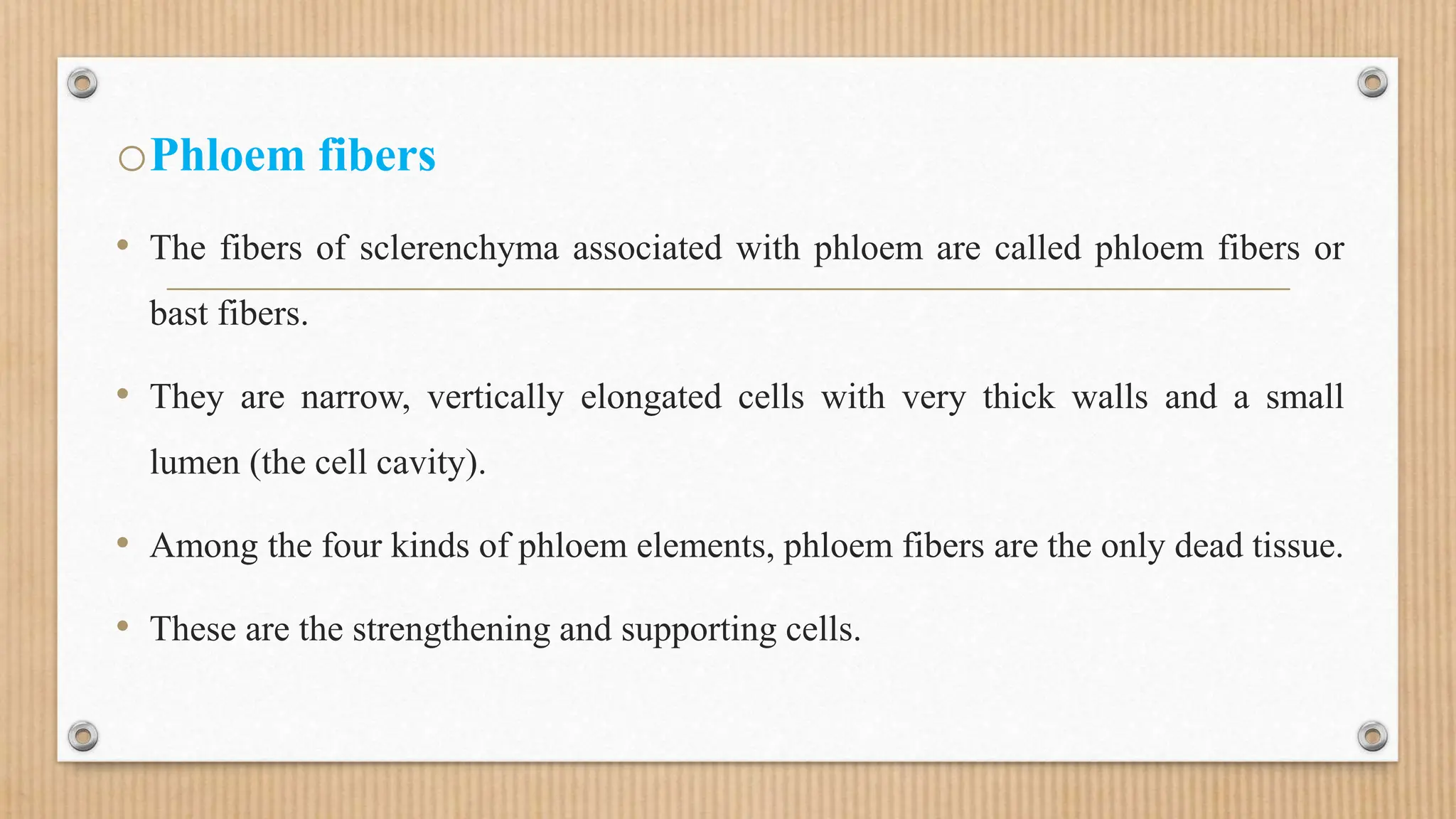 Plant anatomy and physiology.pptx | Gardening | Home & Garden
