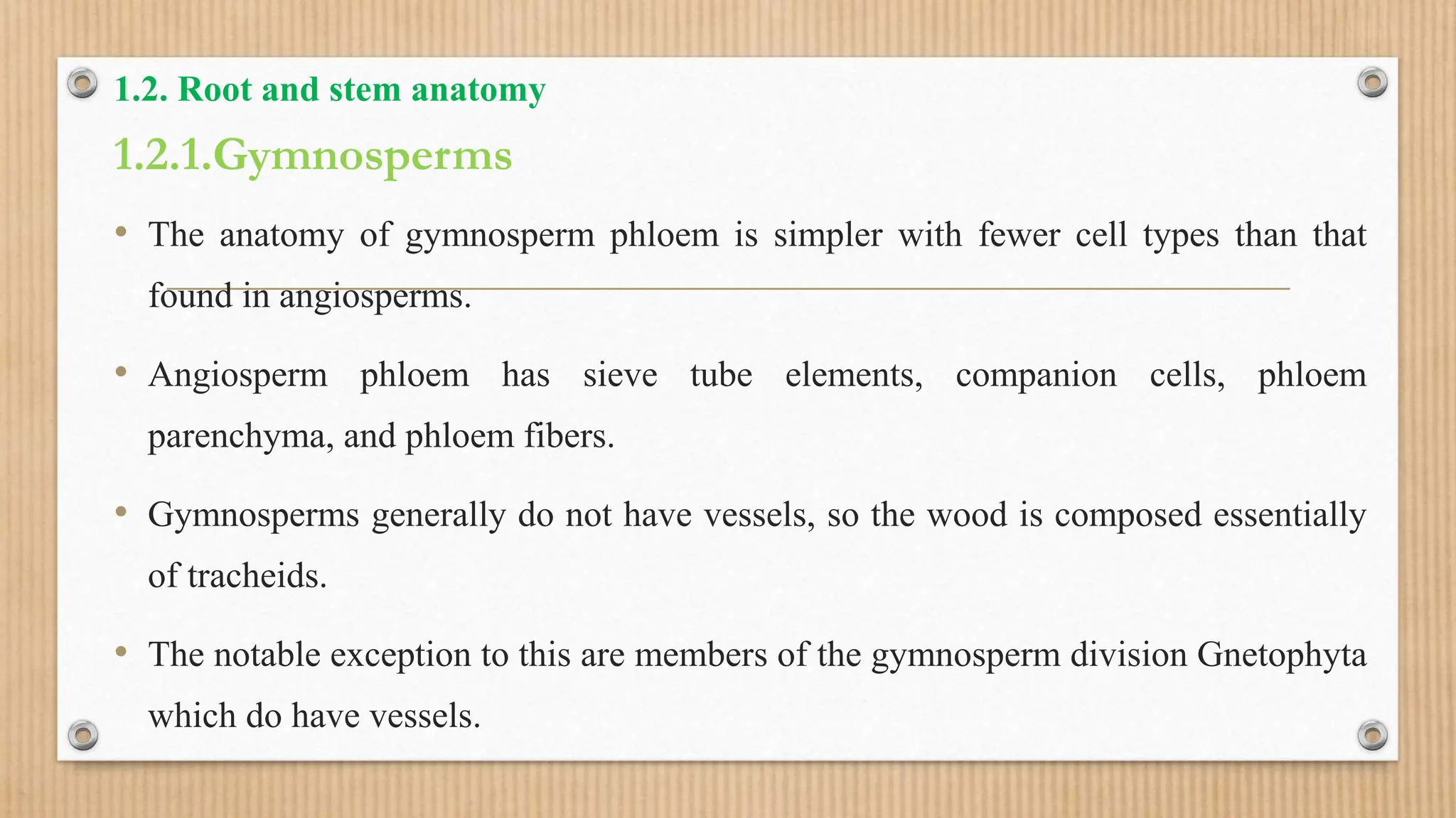Plant anatomy and physiology.pptx | Gardening | Home & Garden