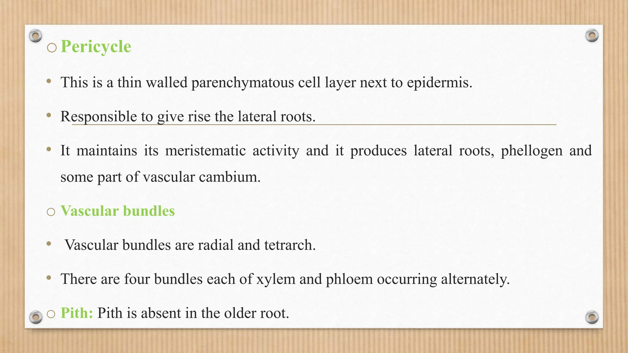 Plant anatomy and physiology.pptx | Gardening | Home & Garden