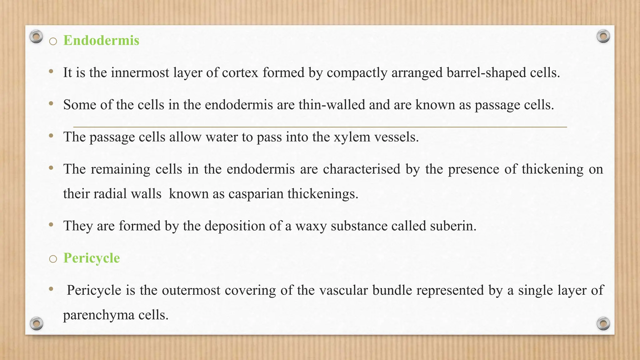 Plant anatomy and physiology.pptx