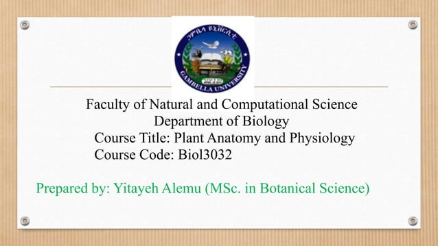 Plant anatomy and physiology.pptx | Gardening | Home & Garden