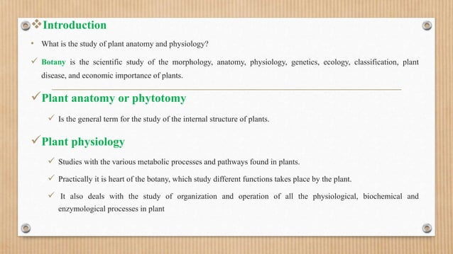 Plant anatomy and physiology.pptx | Gardening | Home & Garden