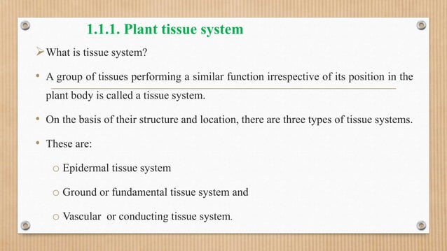 Plant anatomy and physiology.pptx | Gardening | Home & Garden
