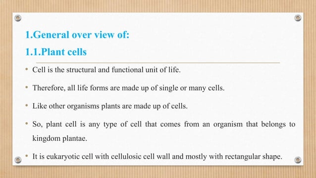 Plant anatomy and physiology.pptx | Gardening | Home & Garden
