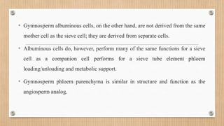 Plant anatomy and physiology.pptx