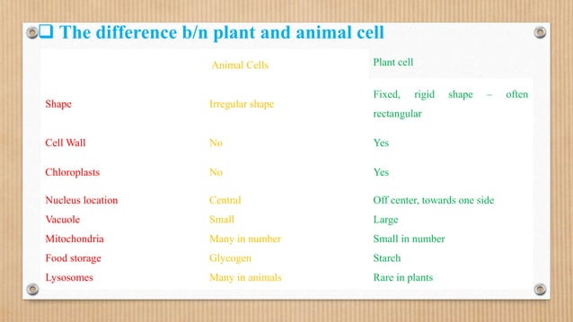 Plant anatomy and physiology.pptx | Gardening | Home & Garden