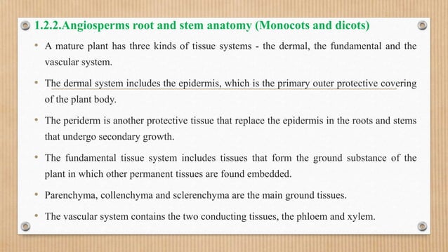 Plant anatomy and physiology.pptx | Gardening | Home & Garden