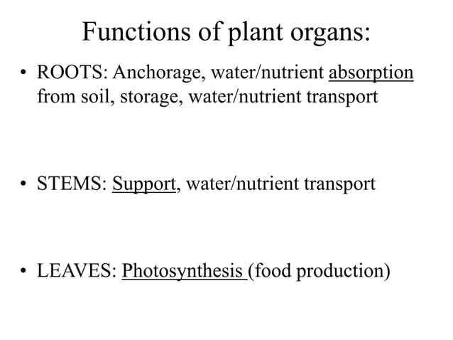 plant anatomy and physiology notes.ppt-“Structure correlates to ...