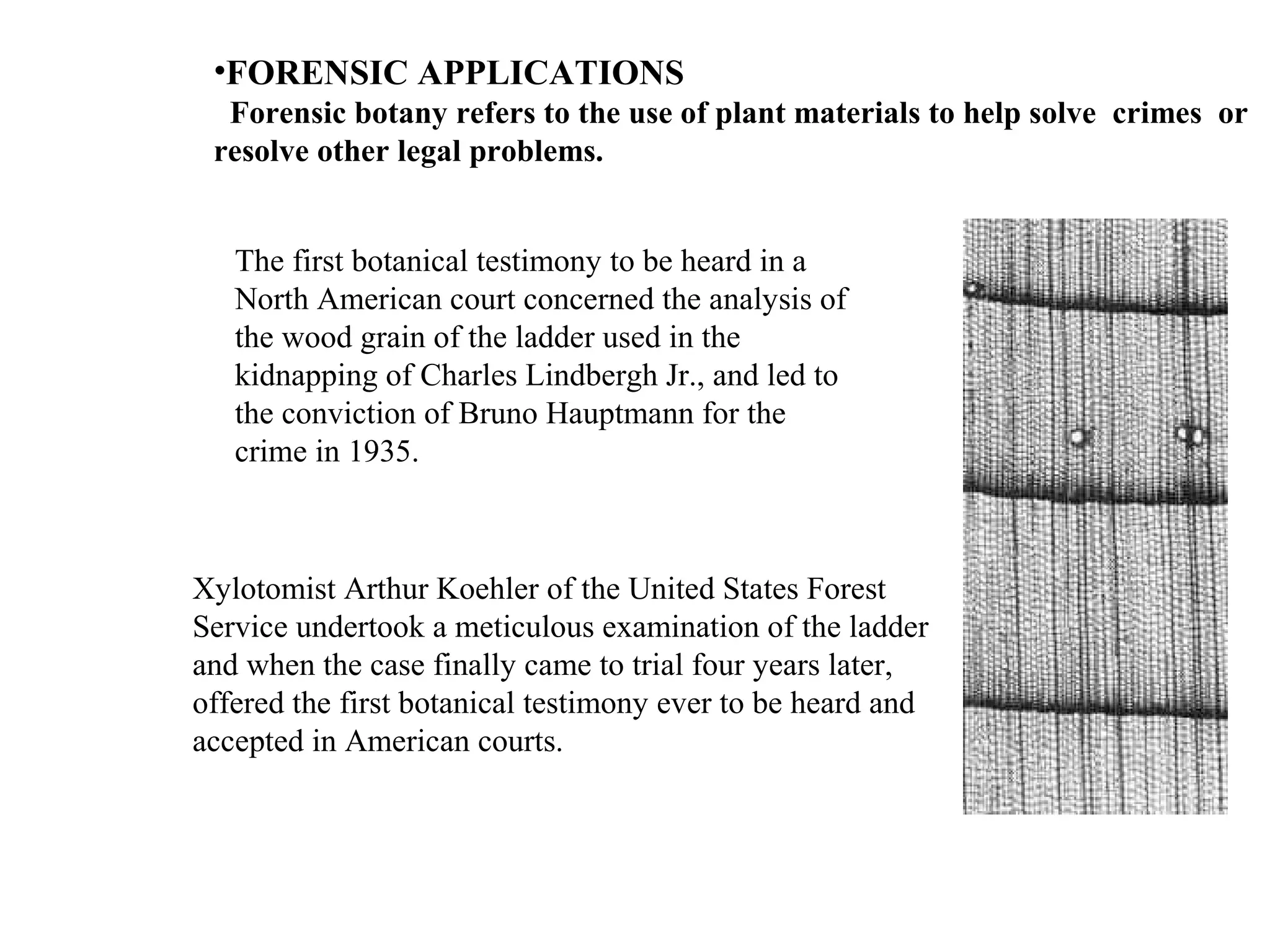 Plant Anatomy An Overview | PPT