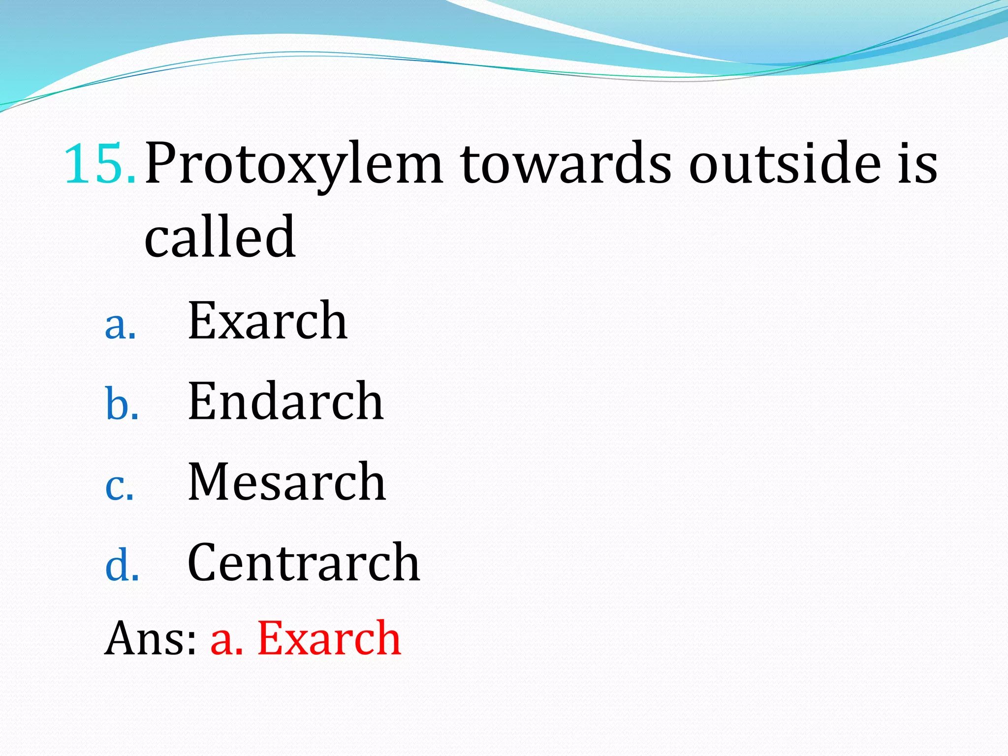 Plant anatomy mcq 1 | PPTX