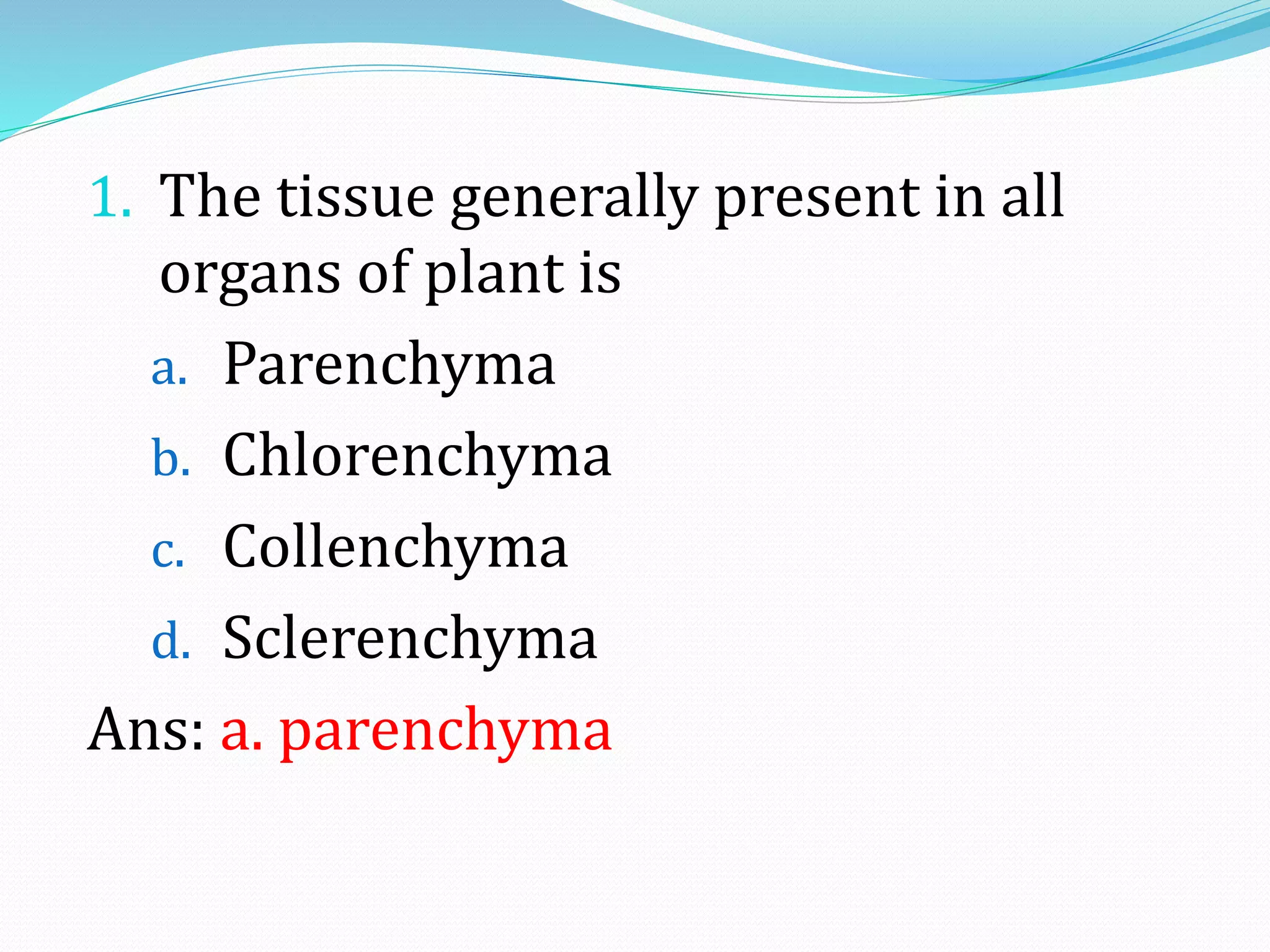 Plant anatomy mcq 1 | PPTX