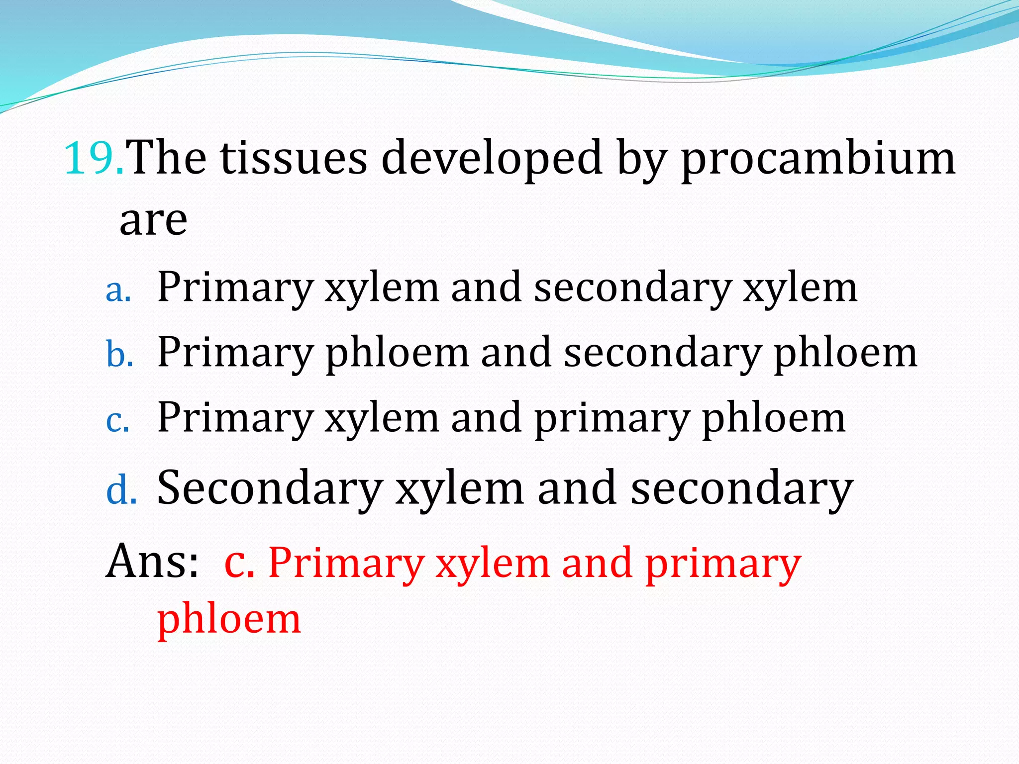 Plant anatomy mcq 1 | PPTX