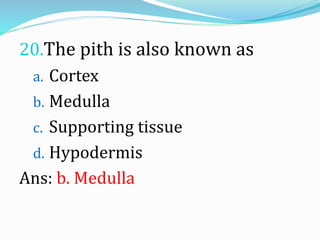 Plant anatomy mcq 1 | PPTX